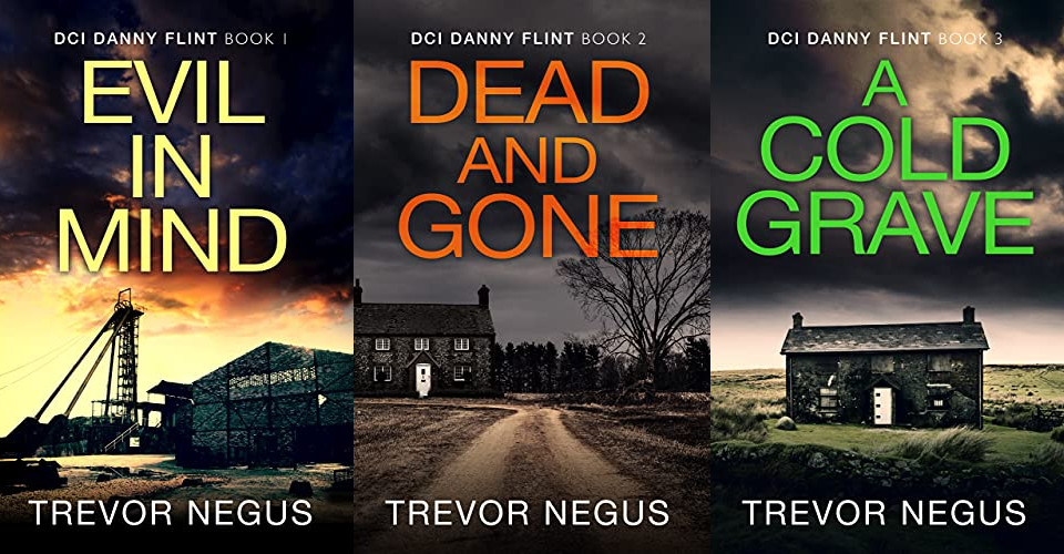 The DCI Danny Flint Series by Trevor Negus | Book Basset